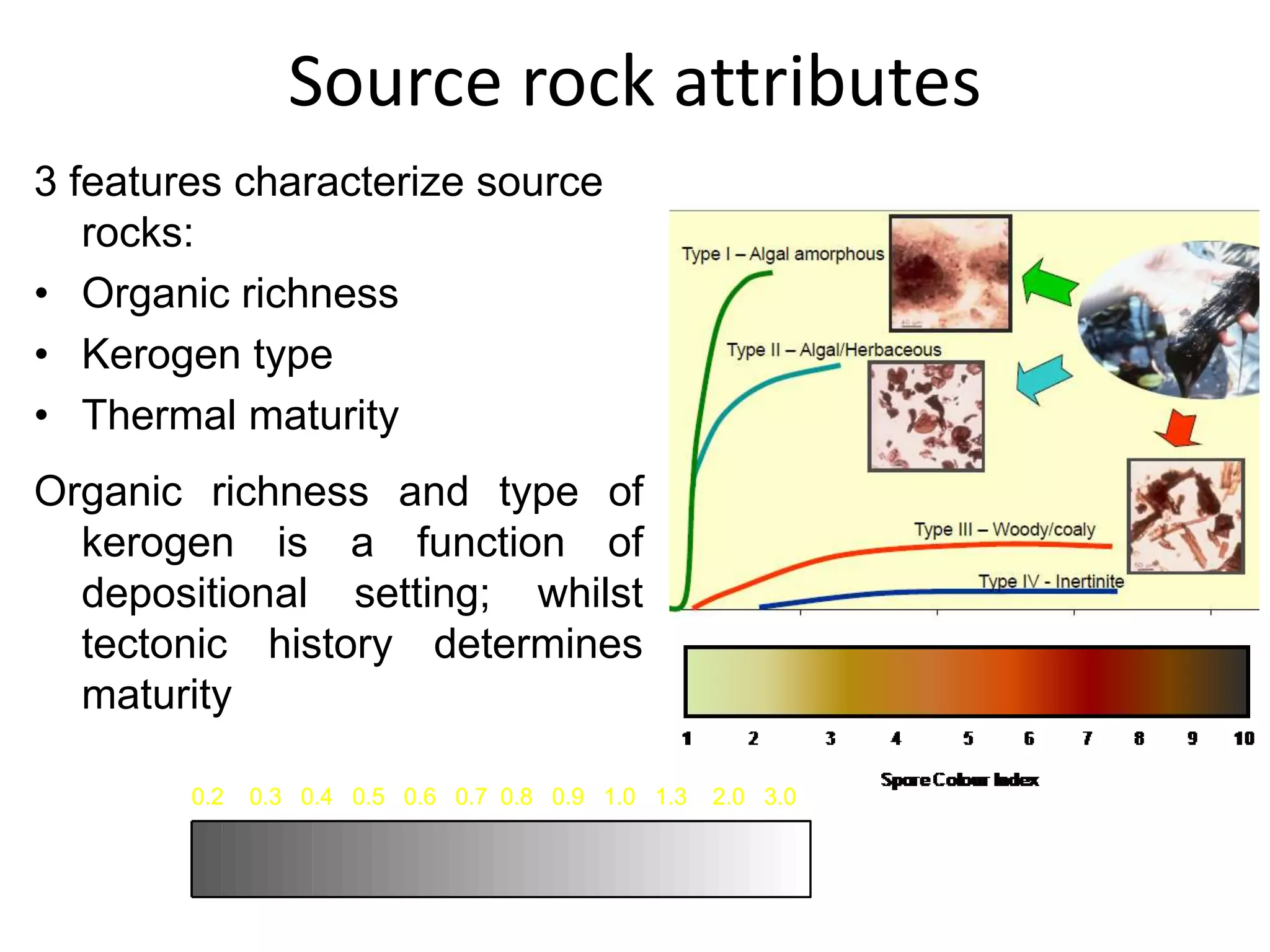 Understanding source rocks | PPTX