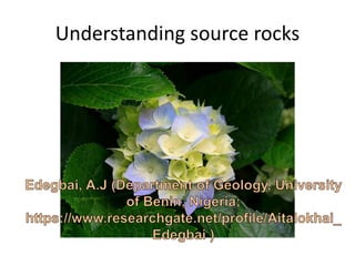 Understanding source rocks | PPTX