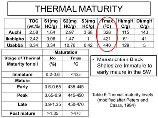 Understanding source rocks | PPTX