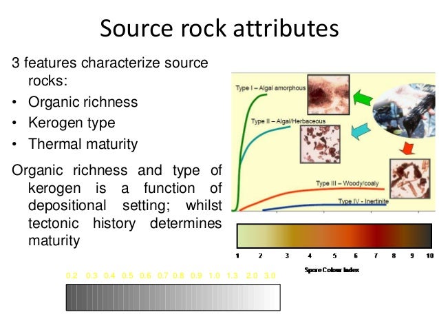 Understanding source rocks
