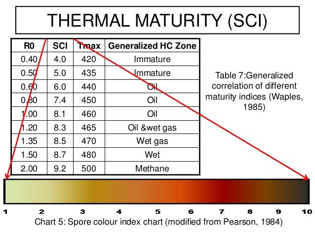 Understanding source rocks
