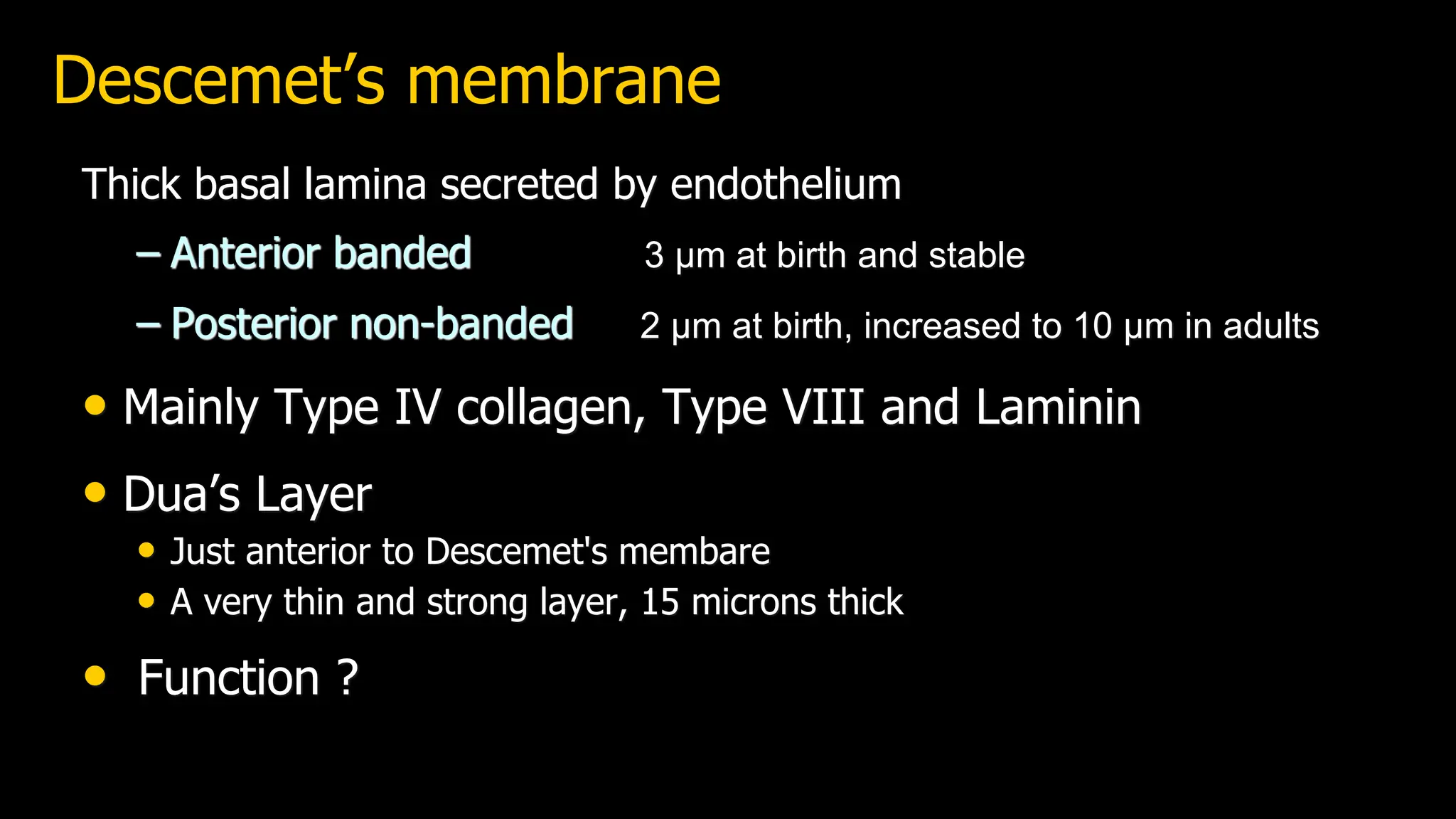 Understanding Specular Microscopy.ppt