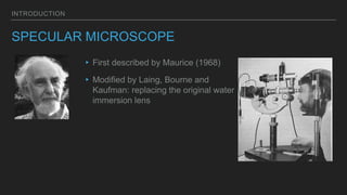 Understanding Specular Microscopy.ppt | Eye and Vision Conditions ...