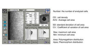 Understanding Specular Microscopy.ppt