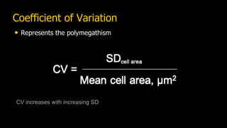 Understanding Specular Microscopy.ppt | Eye and Vision Conditions ...