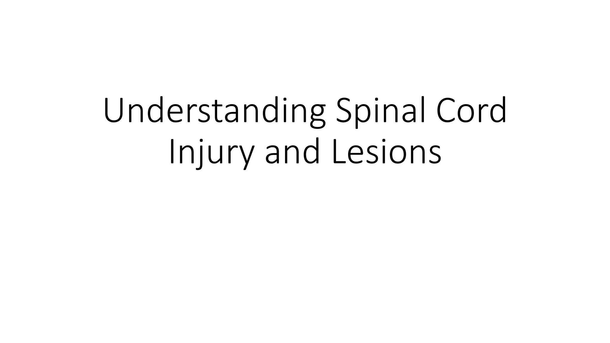 Understanding Spinal Cord Injury and Lesions.pptx