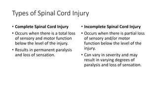 Understanding Spinal Cord Injury and Lesions.pptx