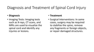 Understanding Spinal Cord Injury and Lesions.pptx