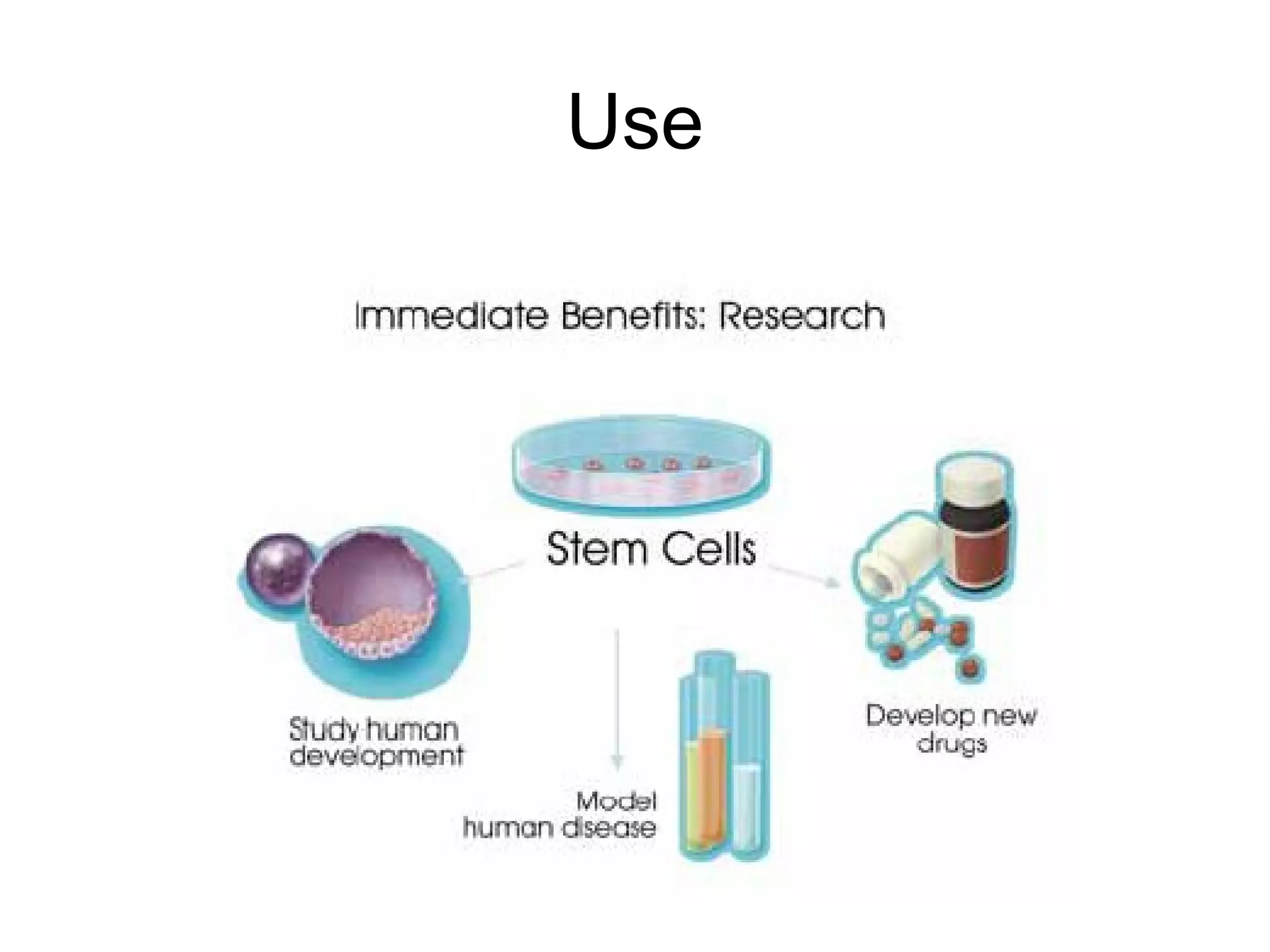 Understanding stem cell | PPT | Biological Sciences | Science