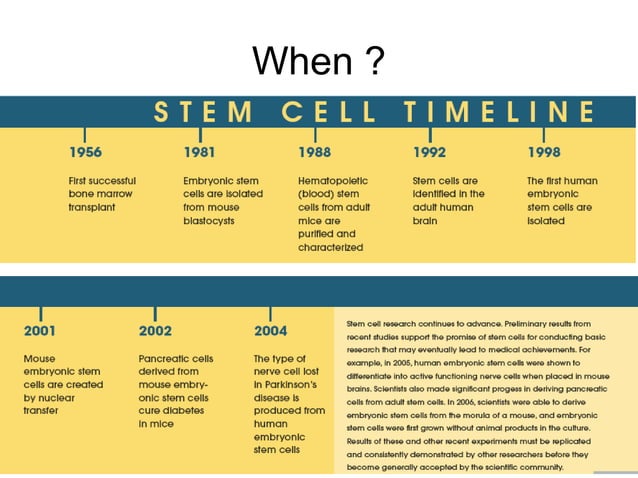 Understanding stem cell | PPT | Biological Sciences | Science
