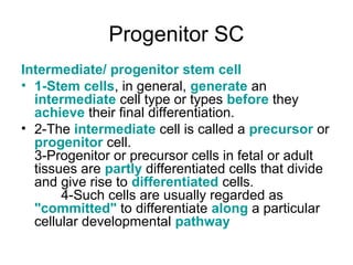 Understanding stem cell | PPT