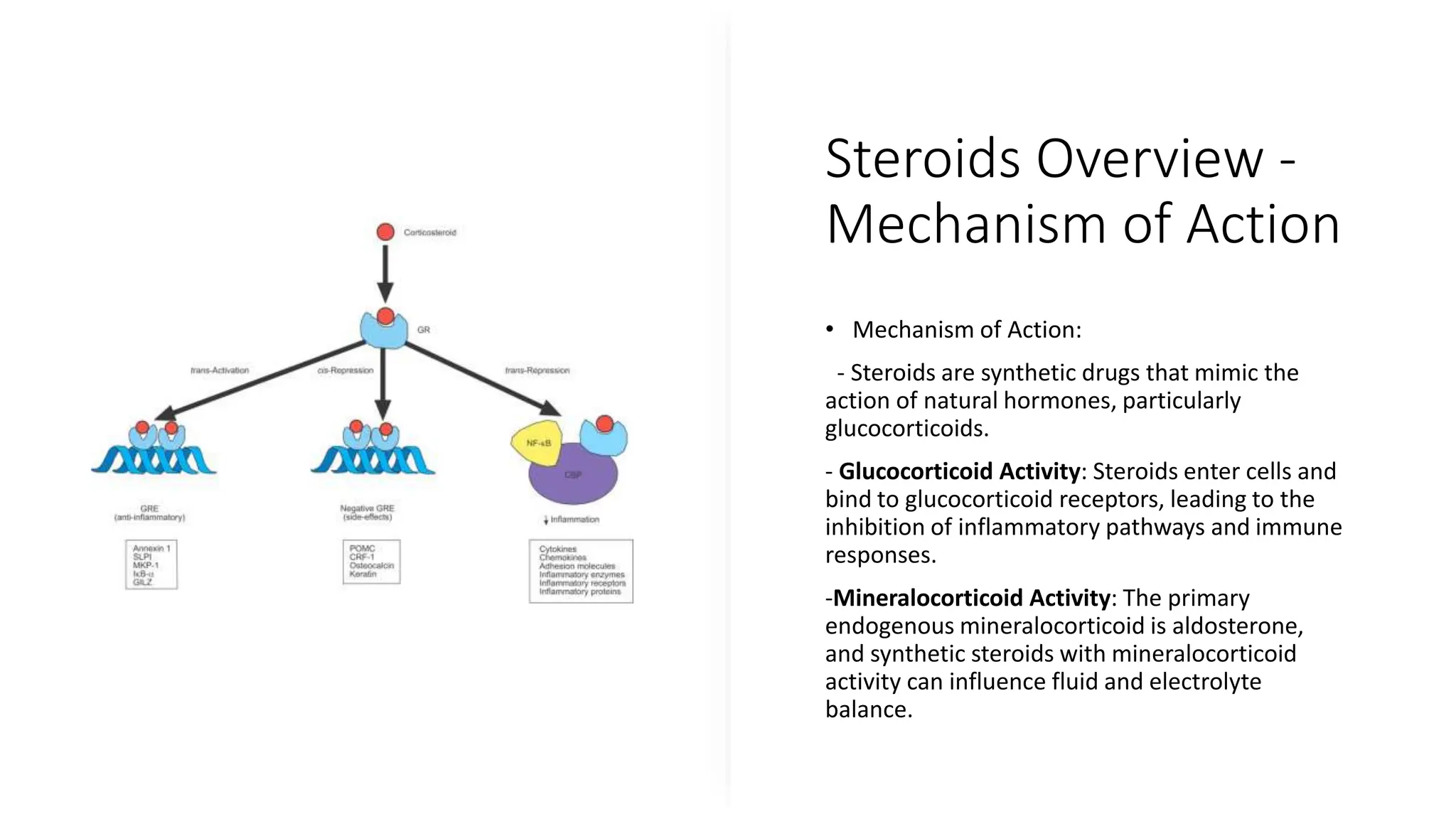 Understanding Steroids and NSAIDs 2.pptx