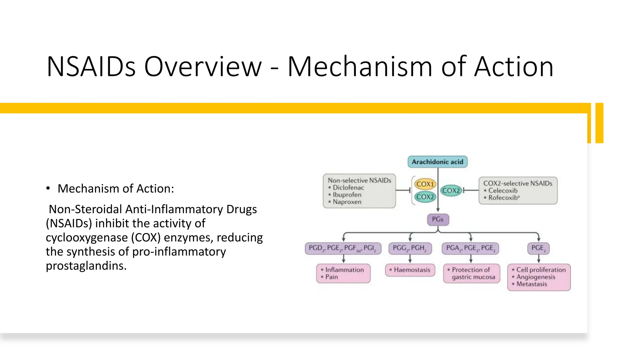 Understanding Steroids and NSAIDs 2.pptx