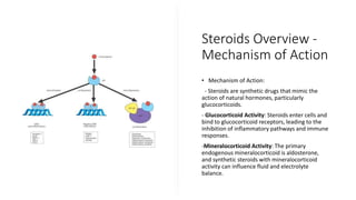 Understanding Steroids and NSAIDs 2.pptx