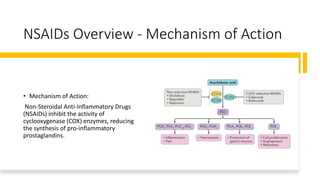 Understanding Steroids and NSAIDs 2.pptx