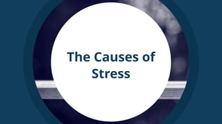 Understanding Stress: Causes, Effects, and Effective Coping Strategies ...