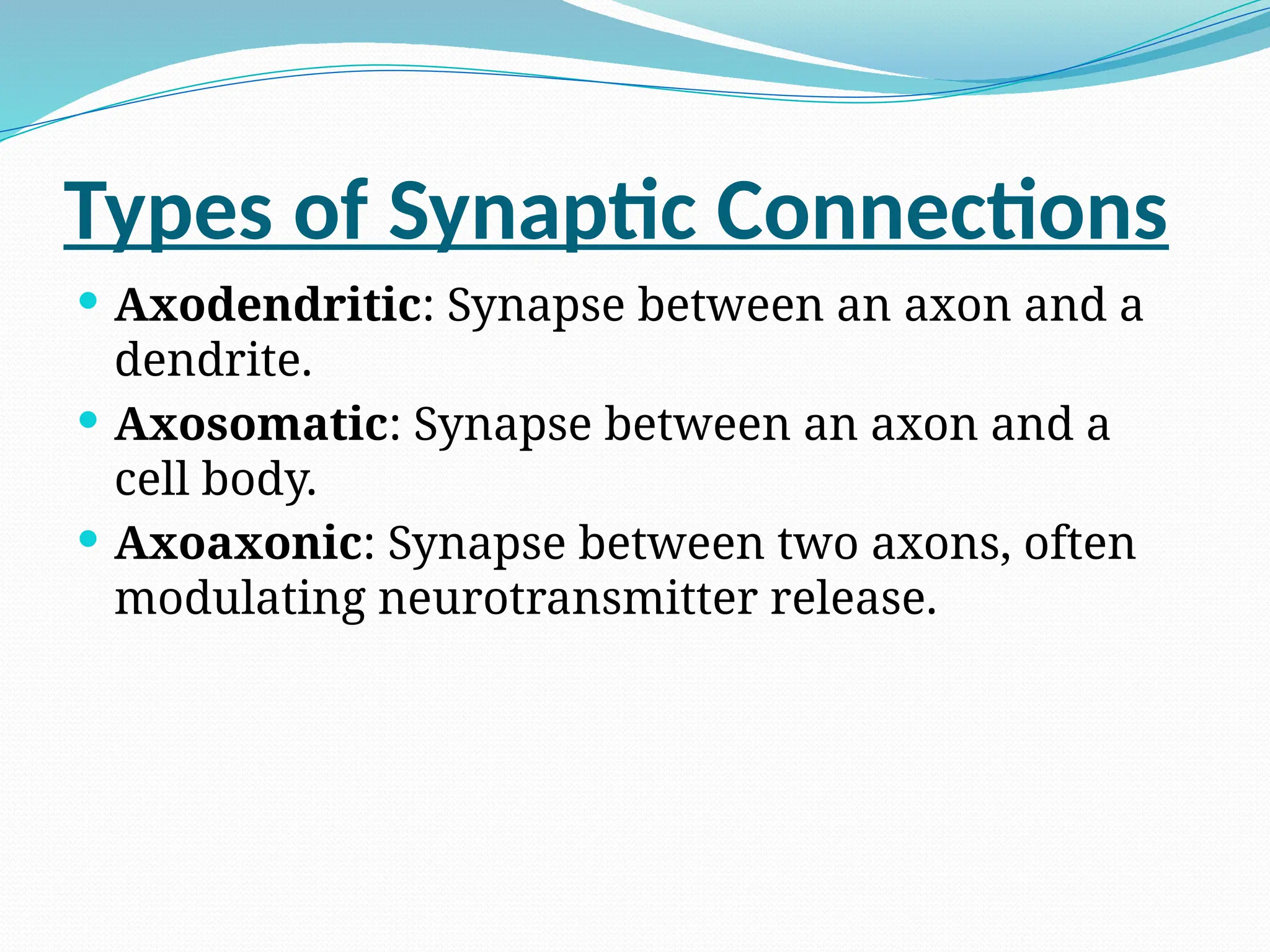 Understanding Synapses.pptx the building blocks of neuronal communication | PPT