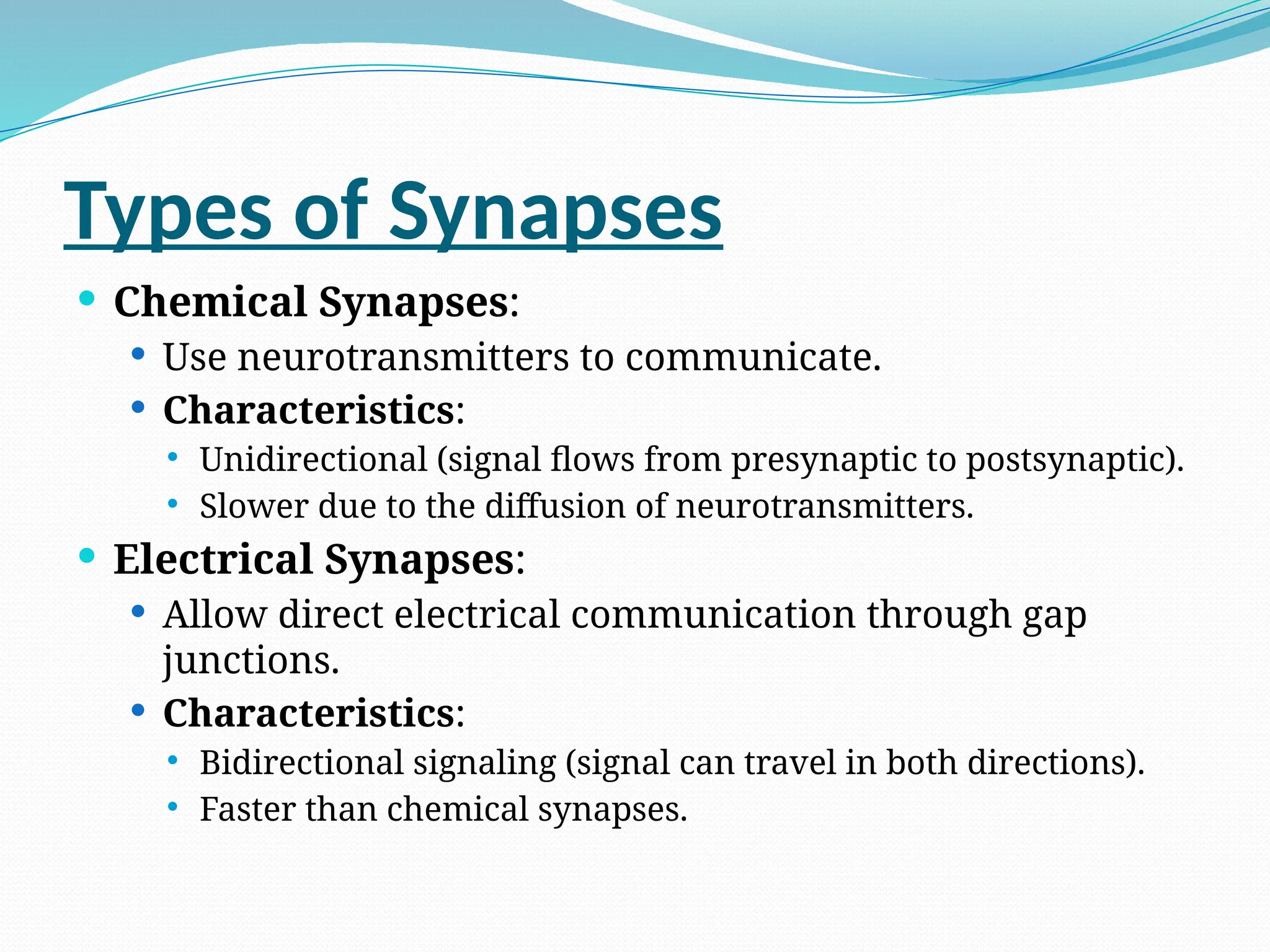 Understanding Synapses.pptx the building blocks of neuronal communication | PPT