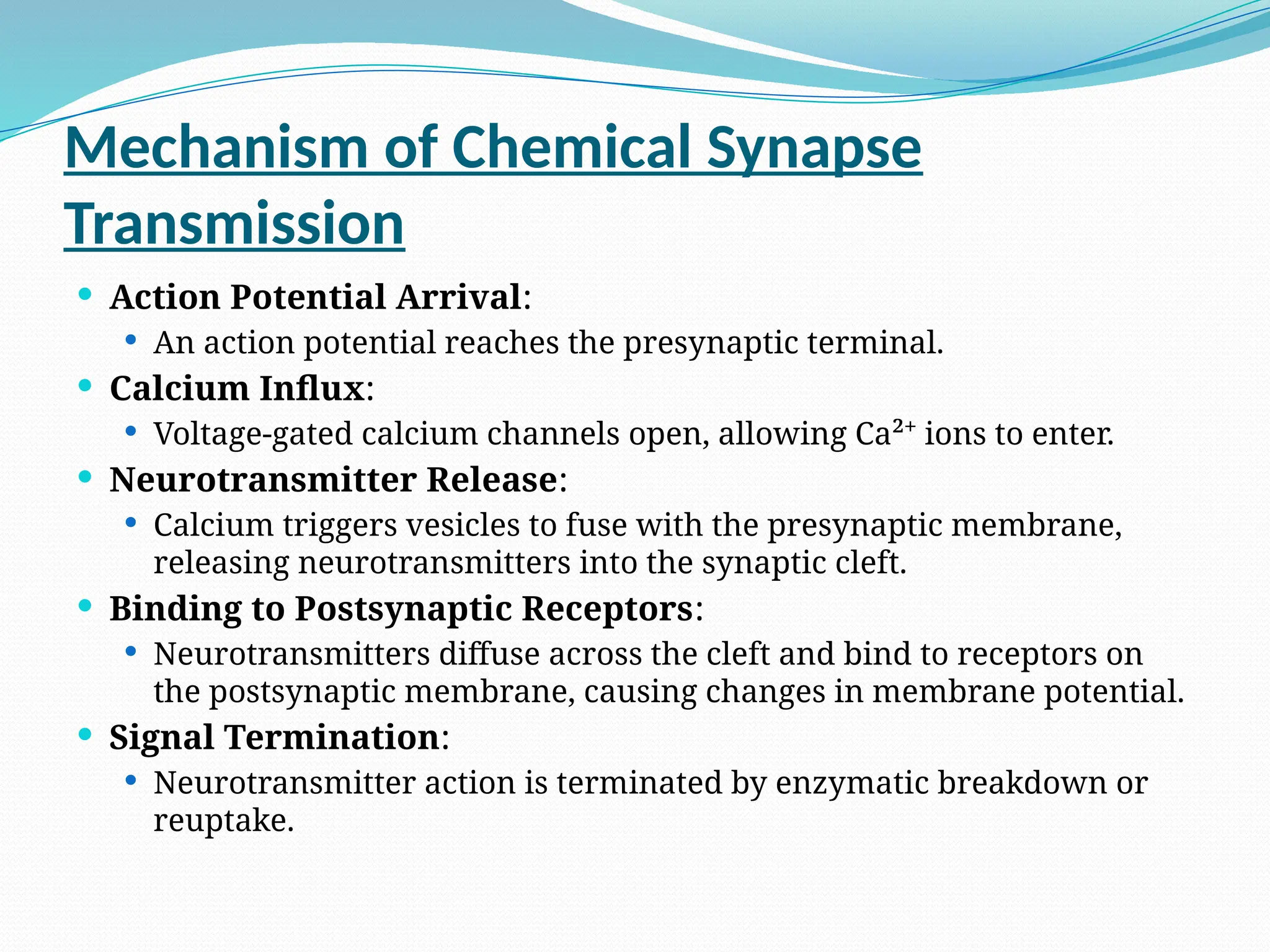 Understanding Synapses.pptx the building blocks of neuronal communication | PPT