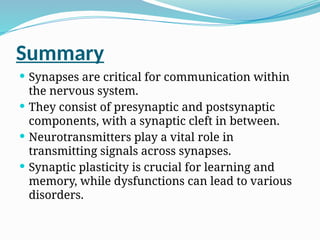 Understanding Synapses.pptx the building blocks of neuronal ...