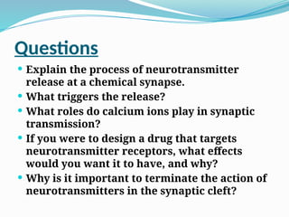 Understanding Synapses.pptx the building blocks of neuronal communication | PPT