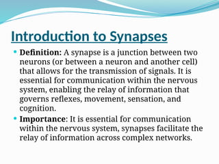 Understanding Synapses.pptx the building blocks of neuronal communication | PPT
