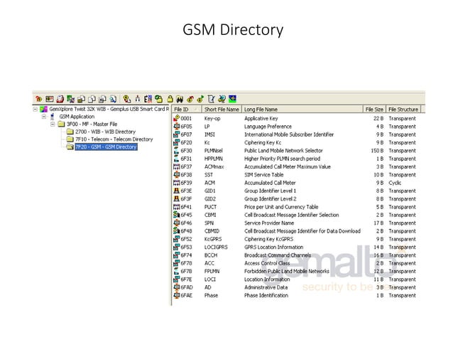 Understanding Telecom SIM and USIM/ISIM for LTE | PDF | Programming ...
