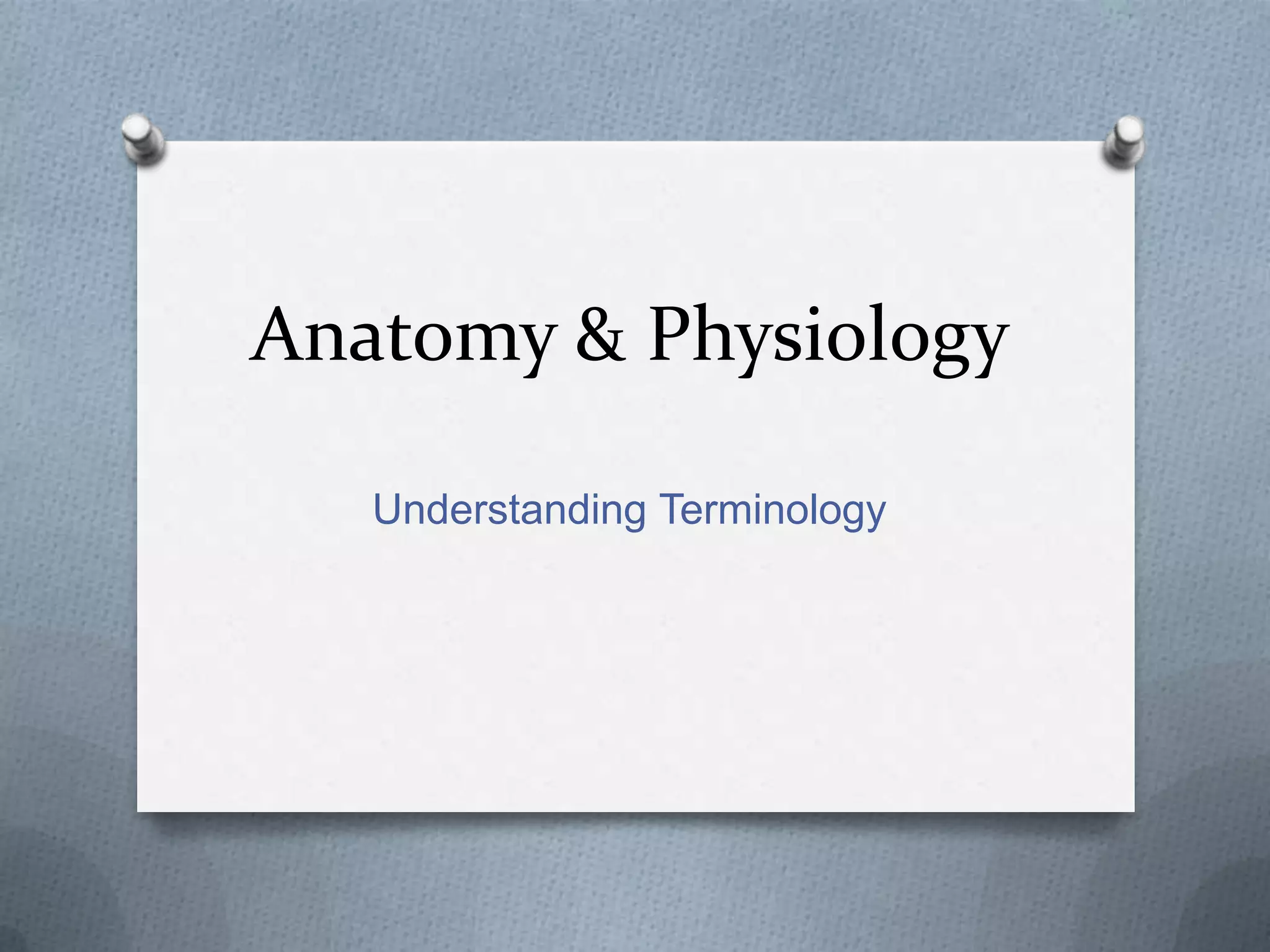 Understanding terminology | PPT
