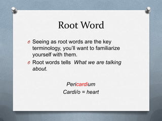 Understanding terminology | PPT