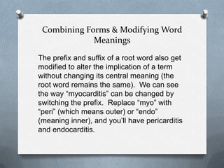 Understanding terminology | PPT