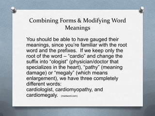 Understanding terminology | PPTX