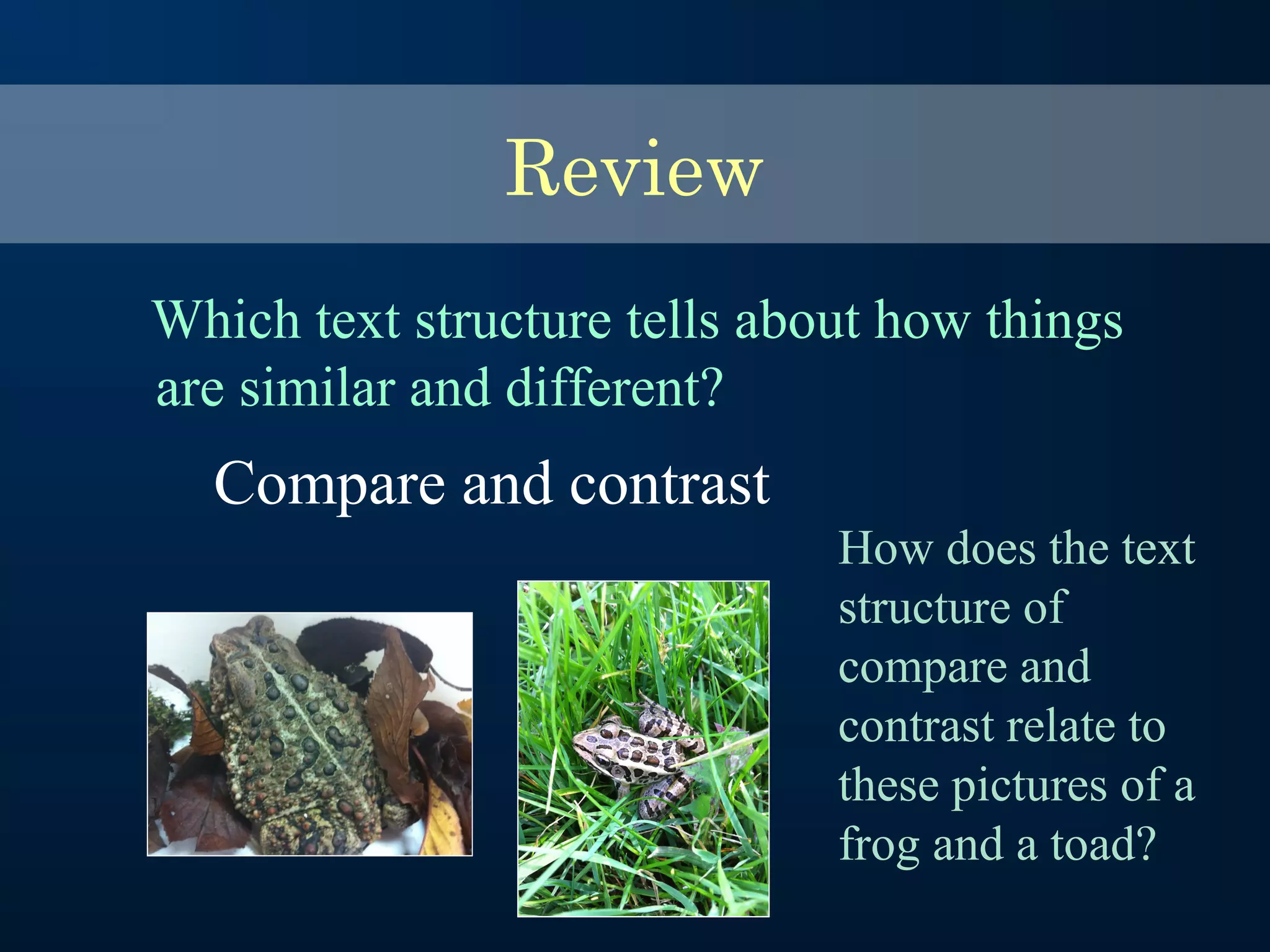 Understanding Text Structure | PPT
