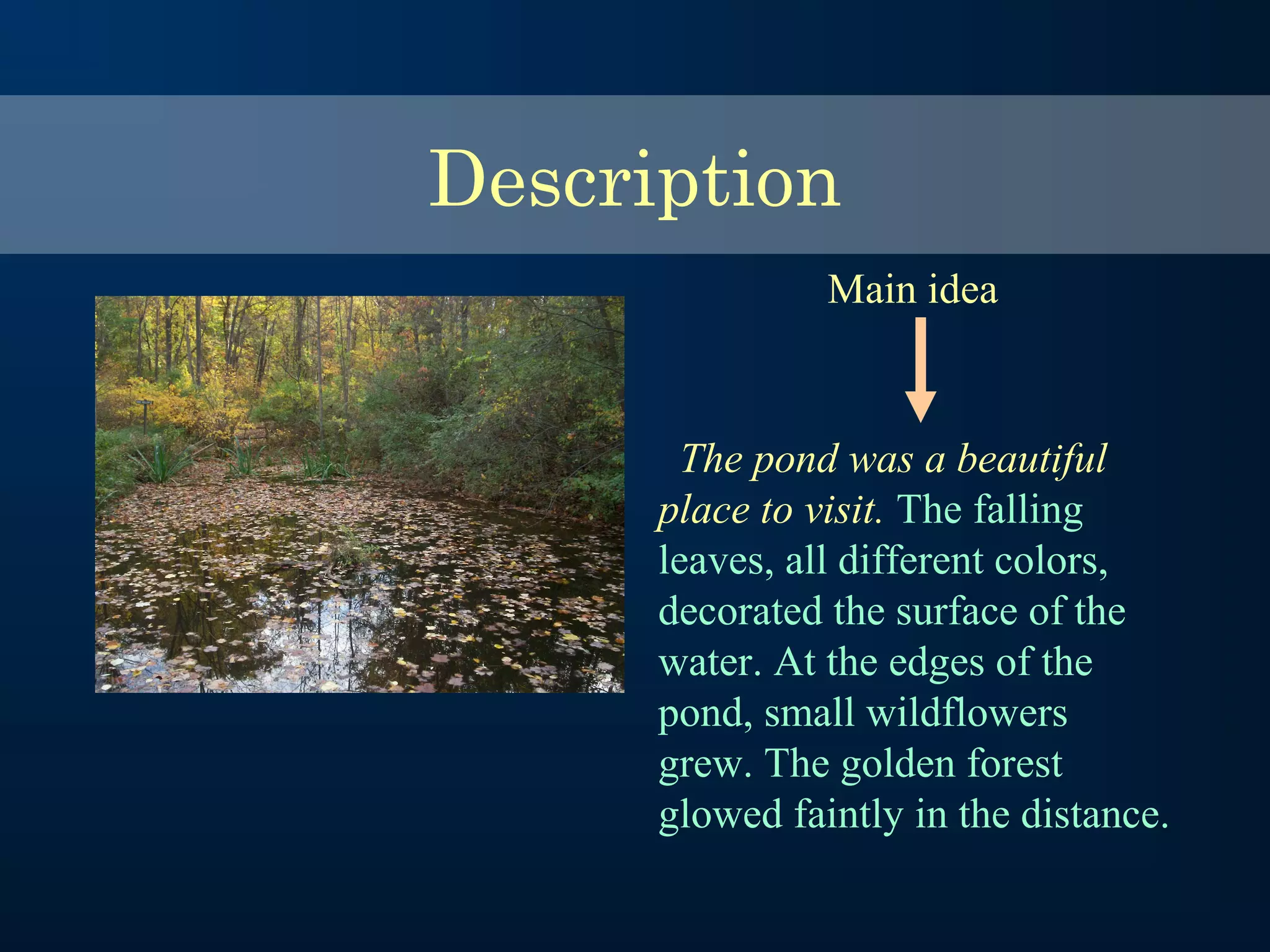 Understanding Text Structure | PPT