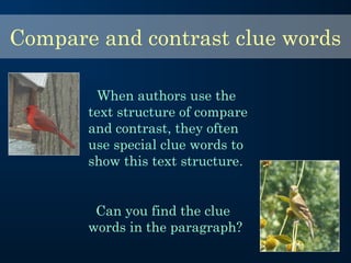 Understanding Text Structure | PPT