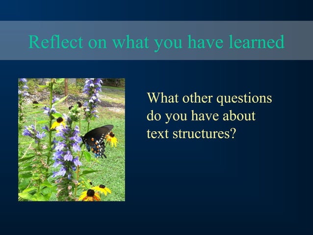 Understanding Text Structure