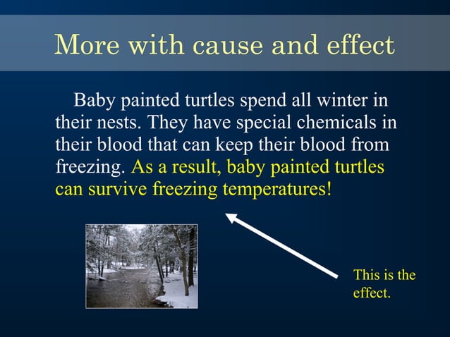 Understanding Text Structure | PPT