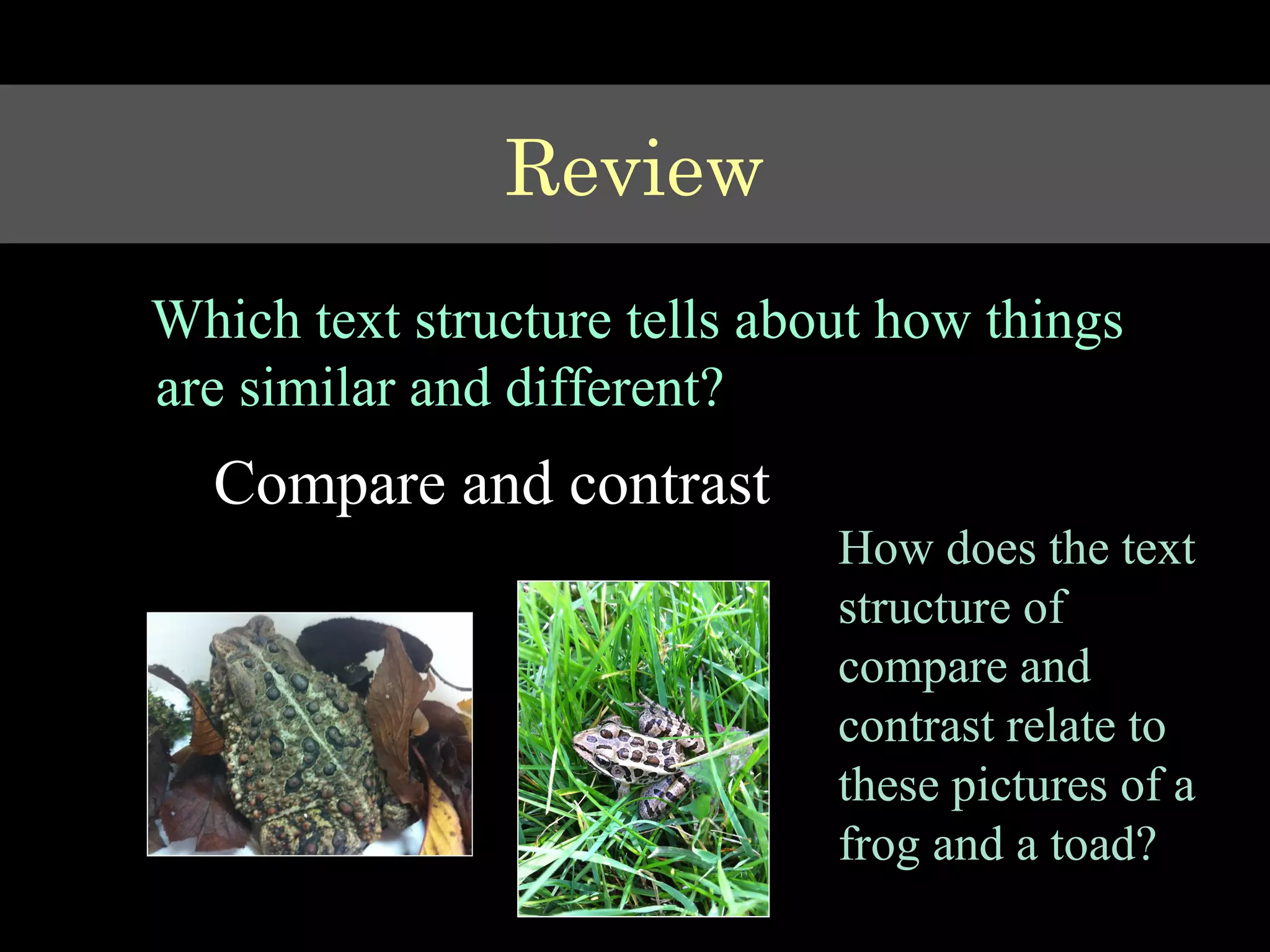 Understanding text structures | PPT