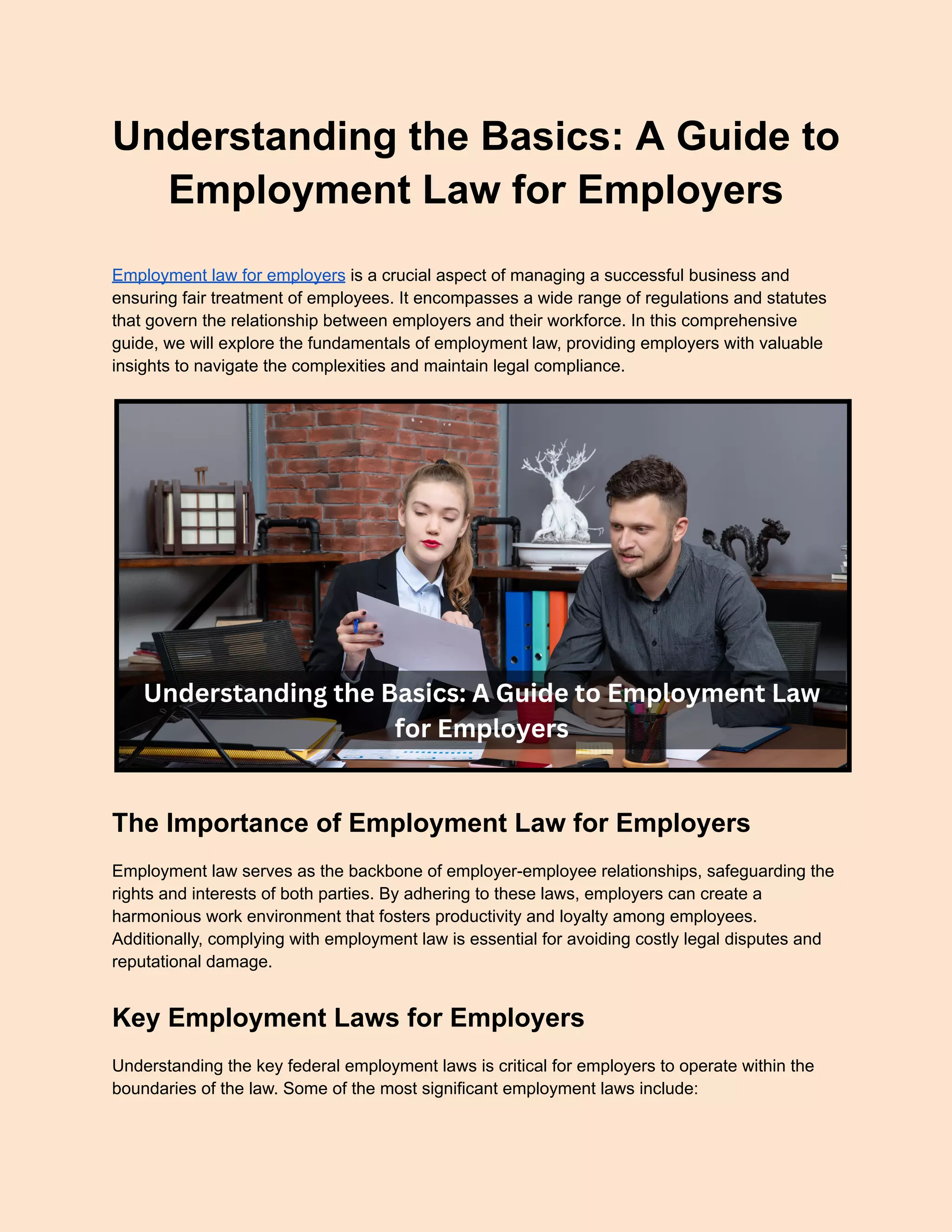 Understanding the Basics_ A Guide to Employment Law for Employers.pdf