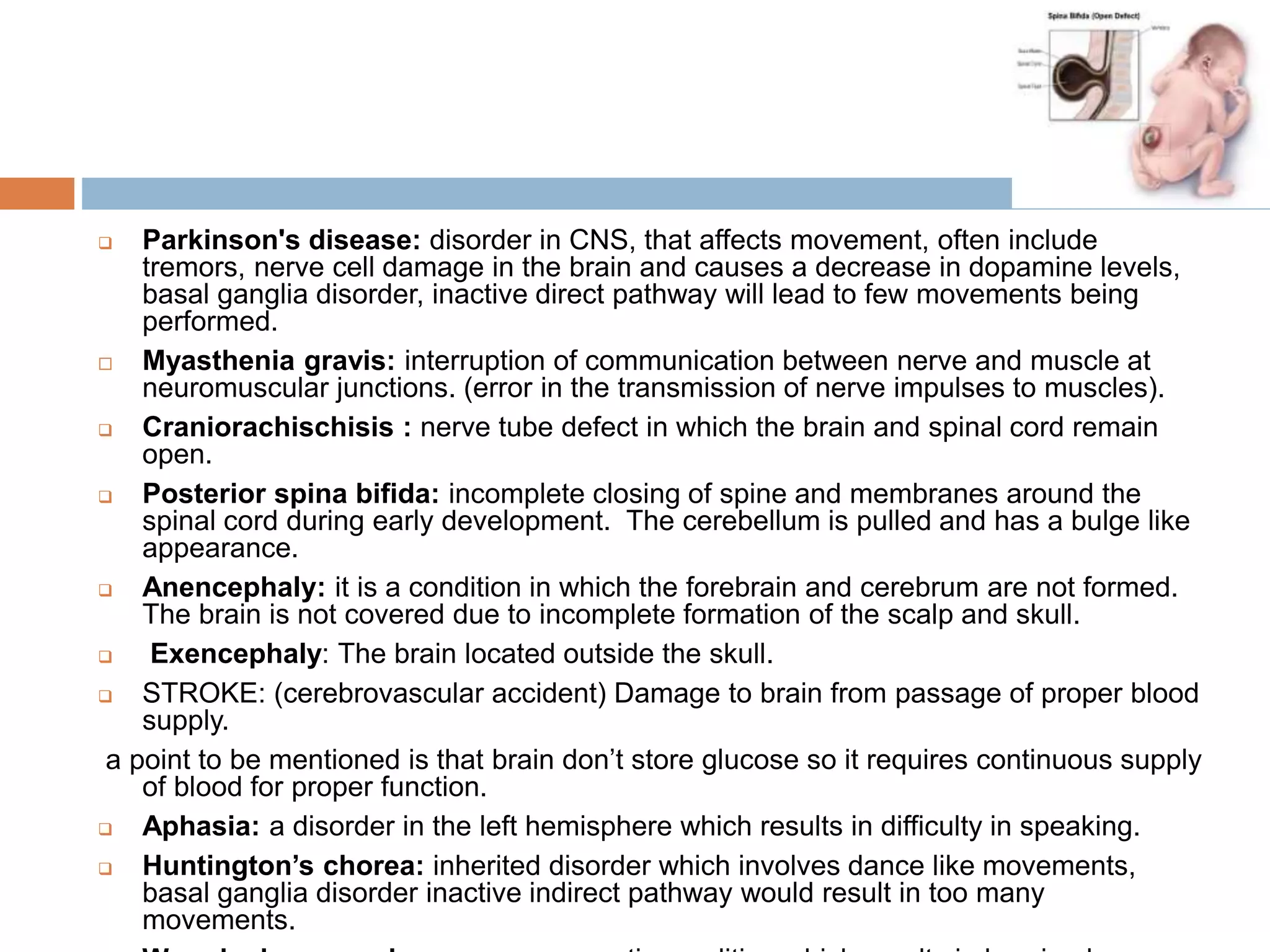 Understanding the Brain : The Neurobiology of Everyday Life Final ...