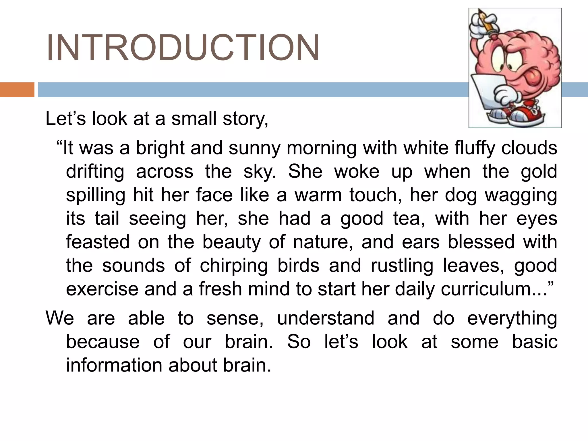 Understanding the Brain : The Neurobiology of Everyday Life Final ...