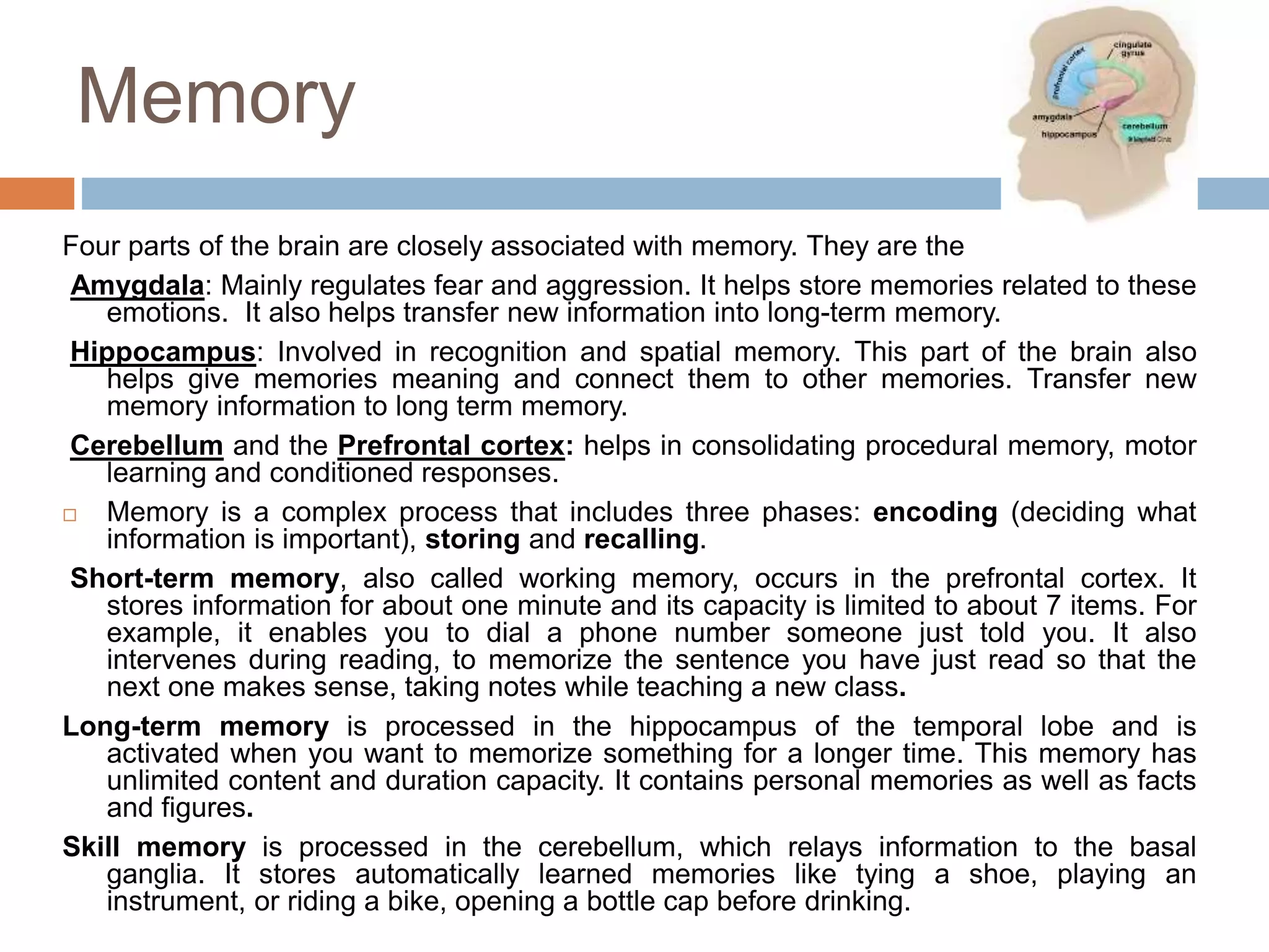 Understanding the Brain : The Neurobiology of Everyday Life Final ...