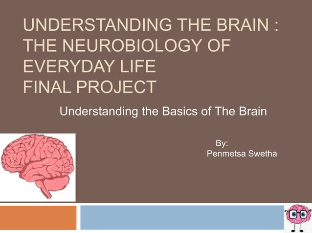 Understanding the Brain : The Neurobiology of Everyday Life Final ...