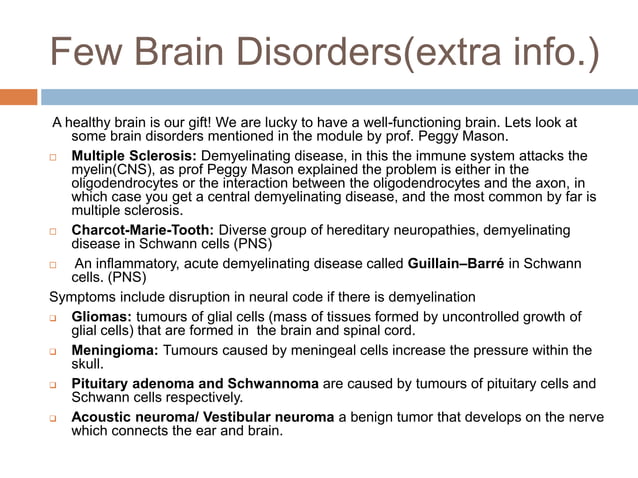 Understanding the Brain : The Neurobiology of Everyday Life Final ...