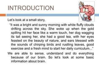 Understanding the Brain : The Neurobiology of Everyday Life Final ...