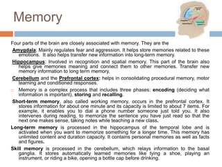 Understanding the Brain : The Neurobiology of Everyday Life Final ...