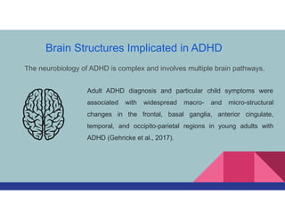 Understanding the Brain. Final Project - Marina Vedovato.pdf | Brain ...