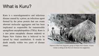 Understanding the Brain.pptx