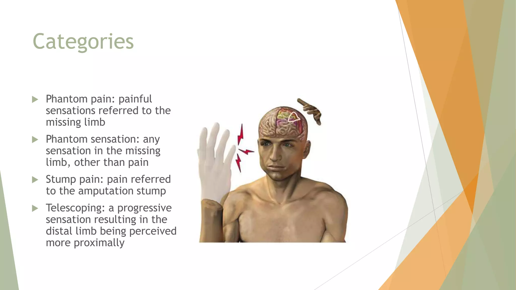 Understanding the Brain - Phantom Limb Syndrome.pptx
