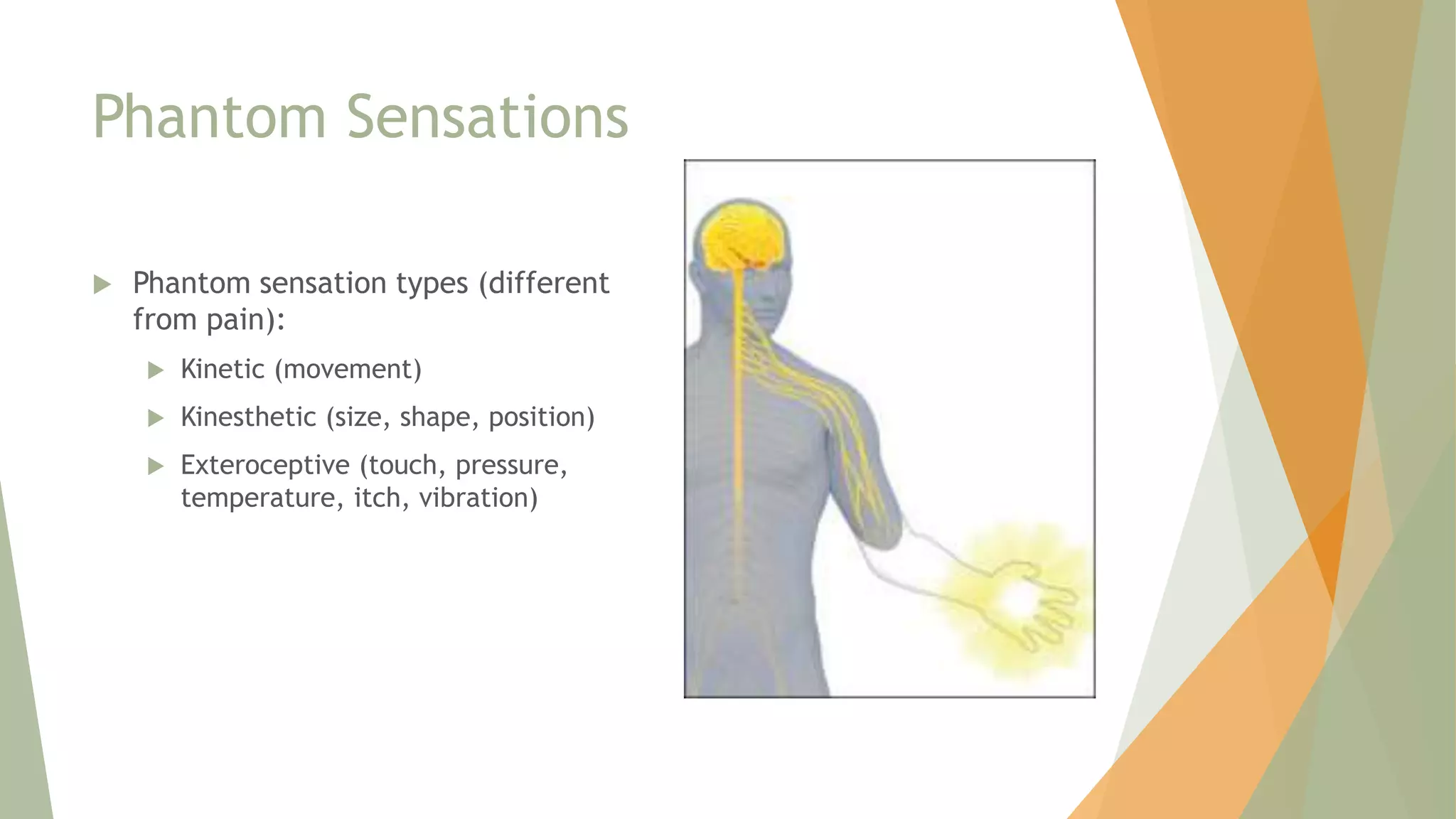 Understanding the Brain - Phantom Limb Syndrome.pptx