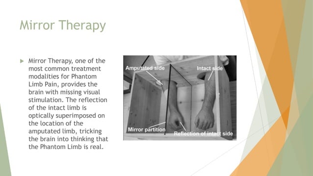 Understanding the Brain - Phantom Limb Syndrome.pptx